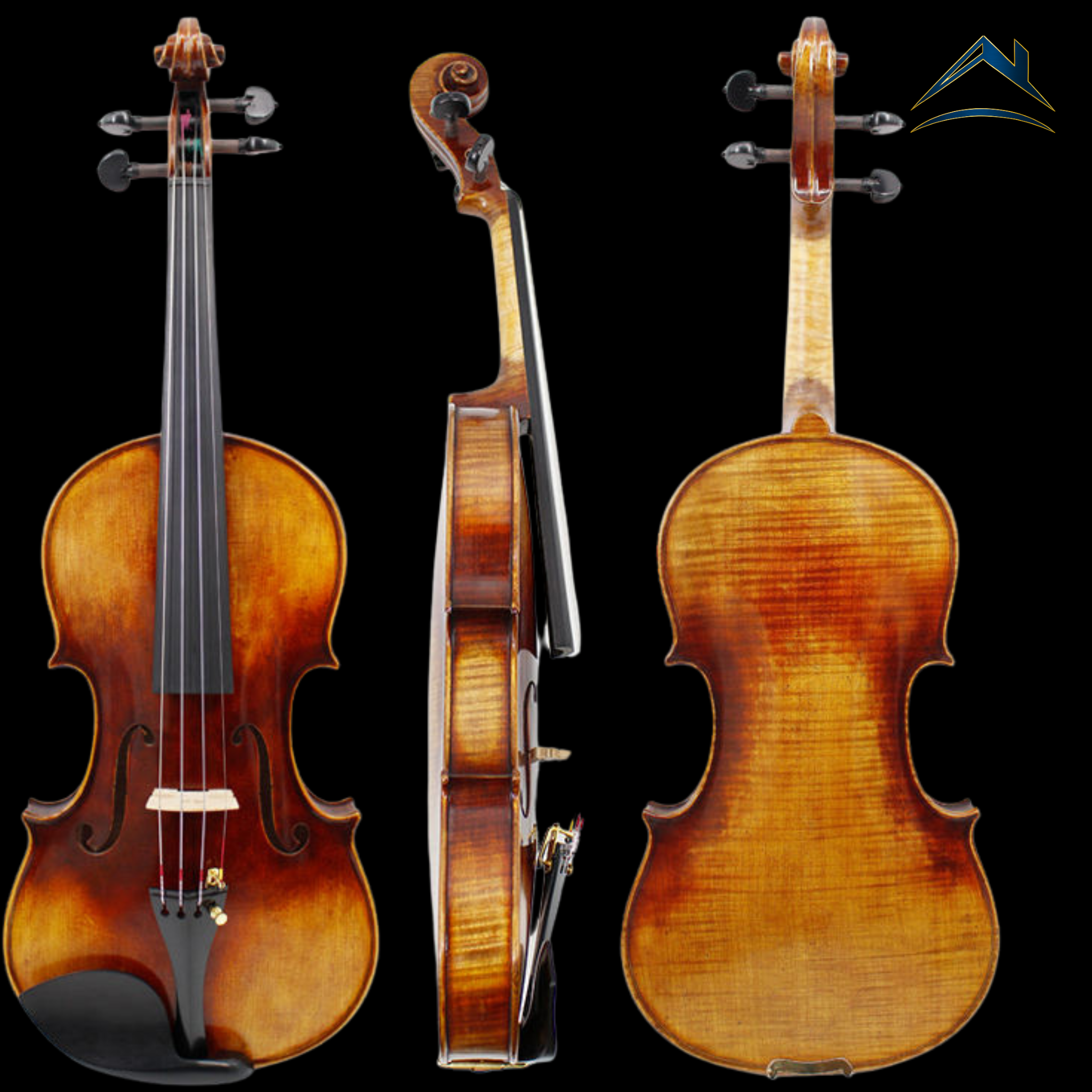AM – AETERNUS MAESTRO｜上級モデル（AETERNUSシリーズ） – Casa do Violino